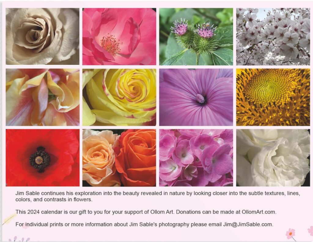 Ollom Art – The Language of Emotion