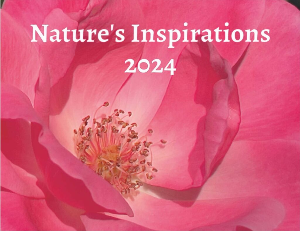 Ollom Art – The Language of Emotion